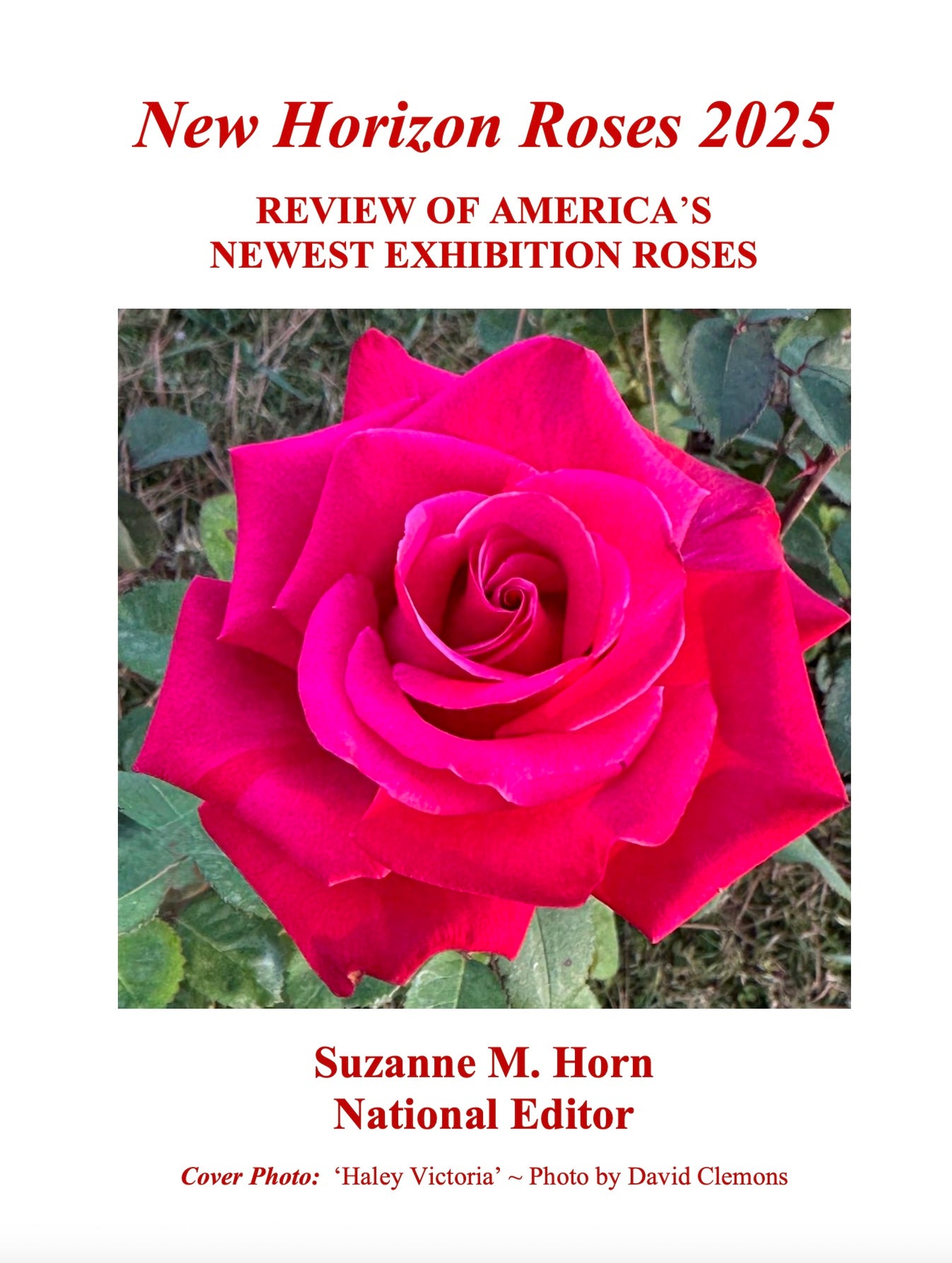 2025 New Horizon Roses – American Rose Society
