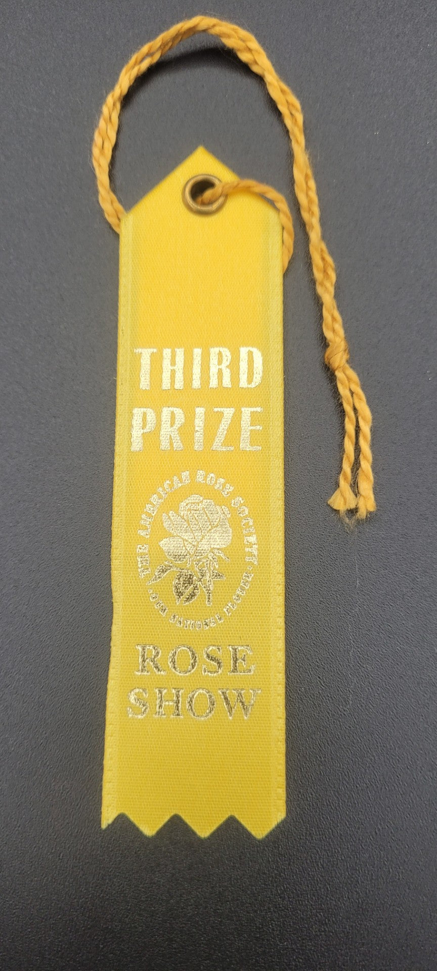 Ribbons Horticulture Yellow - Third Place Miniature – American Rose Society